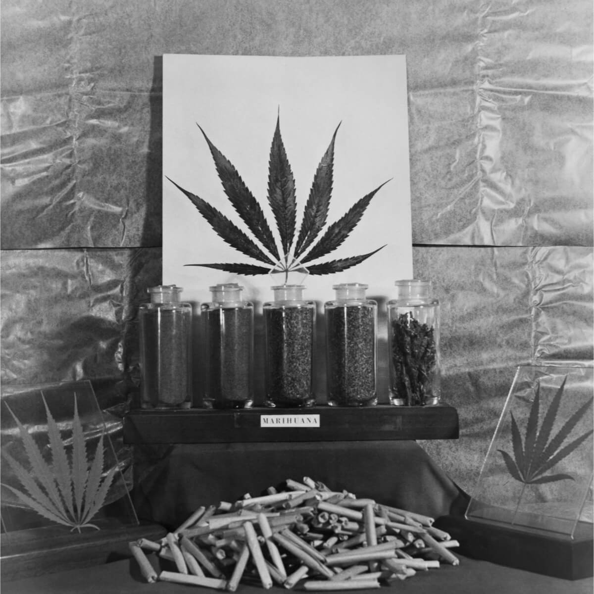 history | GetYourIDCard